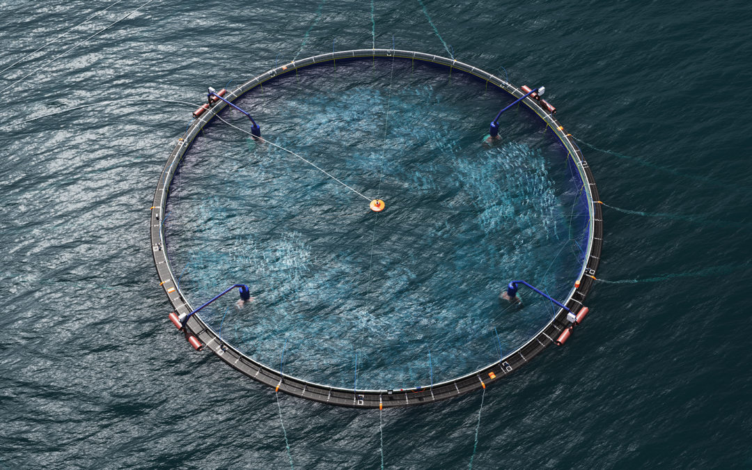 Vortex® System